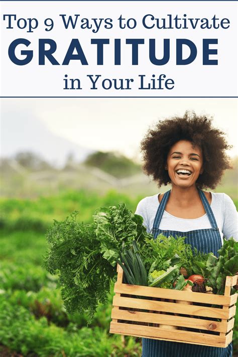 Top 9 Ways To Cultivate Gratitude In Your Life