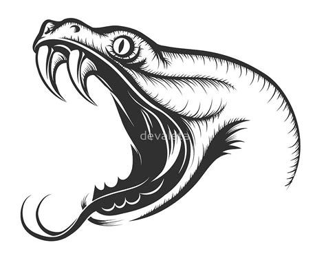 Snake Head Drawing Front View Drawing Word Searches