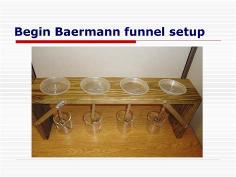 Ppt Nematode Extraction Methods Baermann Funnel And Modified