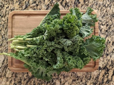 Fall Kale Salad Jamil Ghar