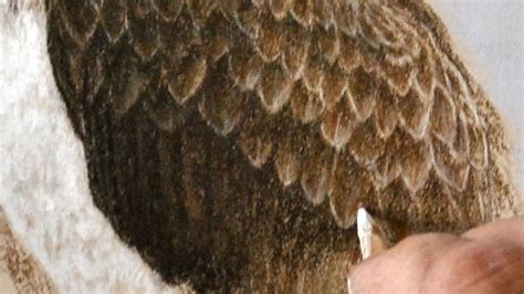 How To Draw Feathers Creative Bloq