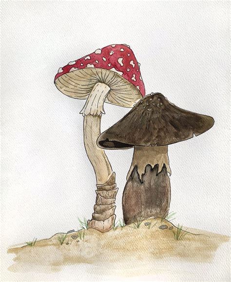 Maya Vanderkamps Gallery Calliope