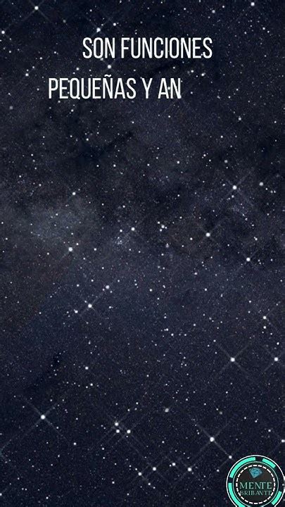 7 ¿qué Son Las Funciones Anónimas O Lambda En Python Python Javascript Automobile Youtube