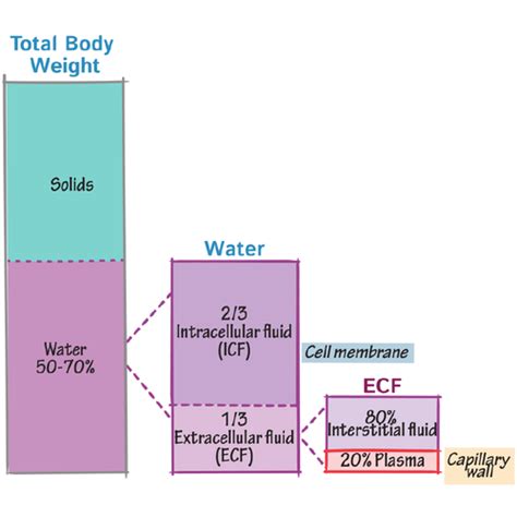 Fluids Electrolytes Acid Base Flashcards Quizlet