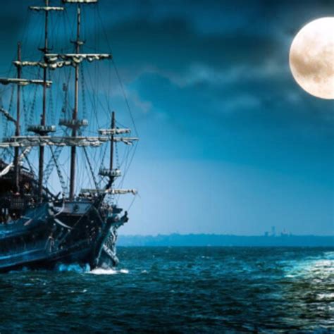 Madiha Rashid University Of Wah Islamabad Biological Sciences Research Profile