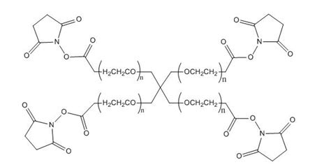 四臂peg活性酯4arm Peg Nhs芃硕生物