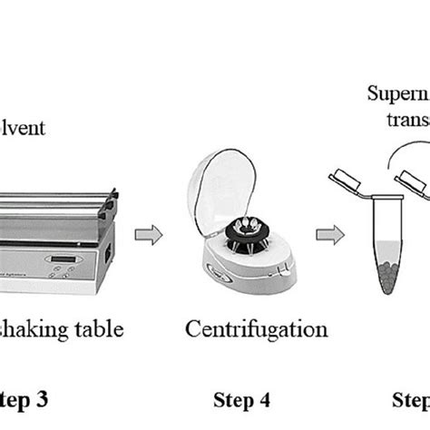 Steps Involved In The Sas Extraction And Preconcentration Procedure In