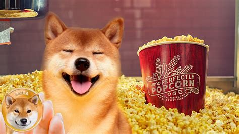 Amc Entertainment Ceosu Twitterda Shiba Inu Anketi A T