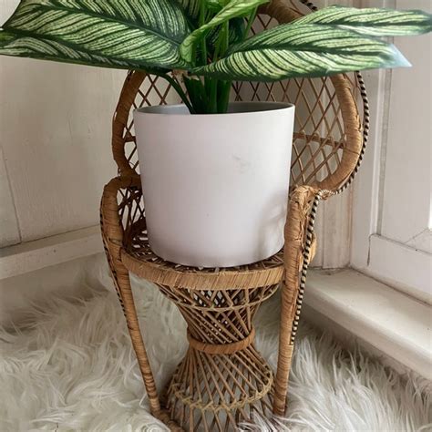 Rattan Peacock Chair Etsy