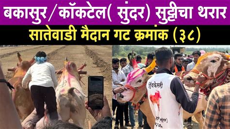 अपराजित जोडी बकासूर आणि कॉकटेल सुट्टीचा थरार🔥🔥 Youtube