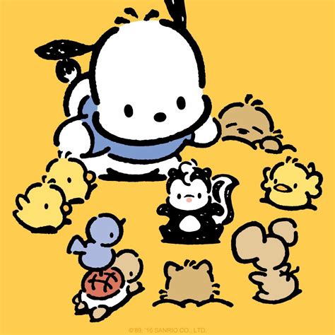 Pochacco ⌒ ⌒ More Hello Kitty Characters Sanrio Characters Cute