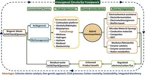 Current Trends In Waste Valorization Microbial Biotechnology Vol 16 No 2