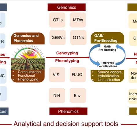 A Flowchart For Genome Assisted Breeding Gwas Genome Wide Association Download Scientific