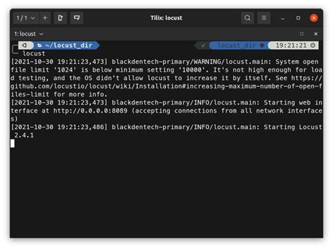 how to use python to load test websites
