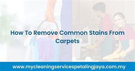 How To Remove Common Stains From Carpets Updated 2025