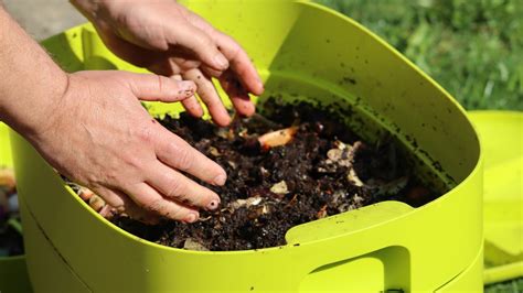 A Beginners Guide To Vermicomposting A Beginners Guide To Vermicomposting