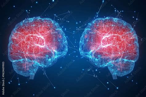 Brain Network Interface Neural Circuit Two Brains Connected By Neural