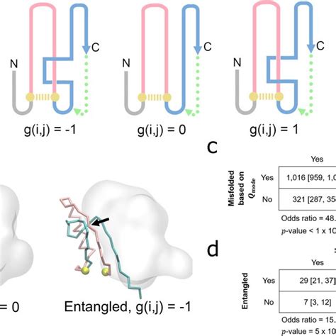 Detecting Non Native Entanglements In A Monomeric Protein Structure A