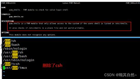 Pam认证机制 Csdn博客