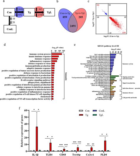 Lentinan Suppressed The Expression Profile Of Genes Associated With Download Scientific Diagram