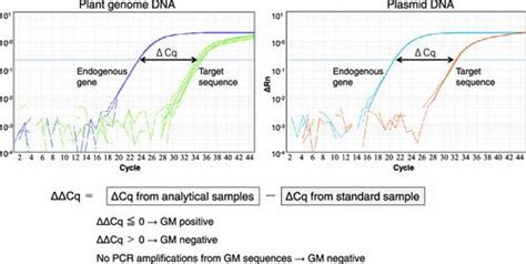 Development and Interlaboratory Validation of a Novel Reproducible Qualitative Method for GM ...