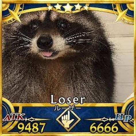 Un Sexy Mapache Youtube