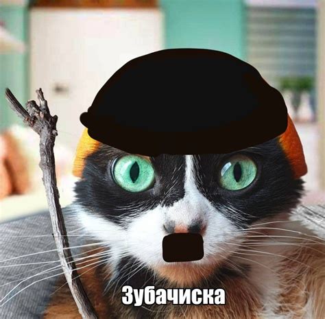 Создать мем "смех приколы, кот куки, кот" - Картинки - Meme-arsenal.com