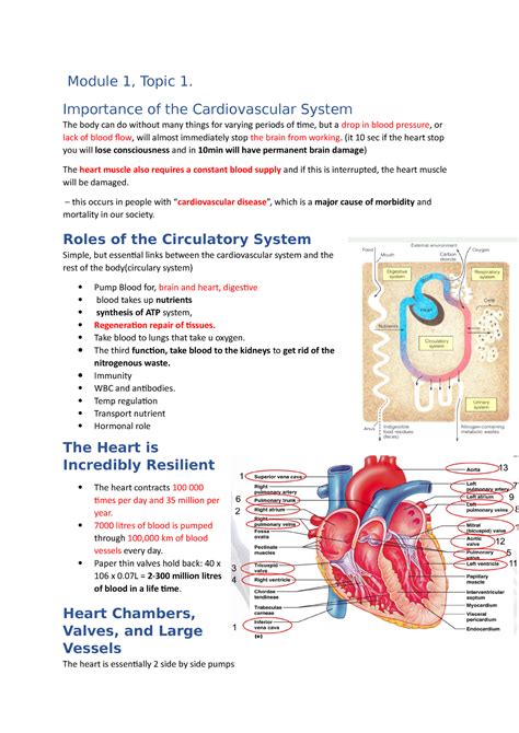 Anatomy Notesweek 1 To 5 Module 1 Topic 1 Importance Of The