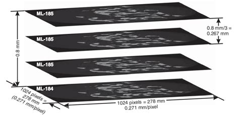 Interpolation Between High Resolution X Ray Computed Tomography Scan Download Scientific