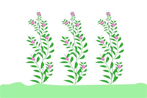 Flower Tree Vector Art Icons Graphics Graphic By Tee Vibe · Creative Fabrica