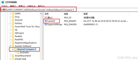 Beyond Compare 30天评估到期后解决方法beyondcompare30天到期 Csdn博客