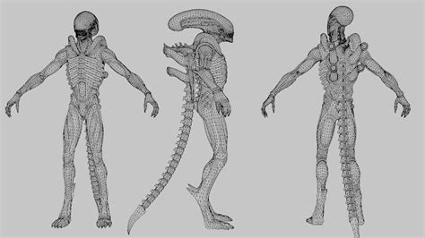 Obj File Xenomorph Lowpoly Rigged 👽 ・3d Print Design To Download・cults