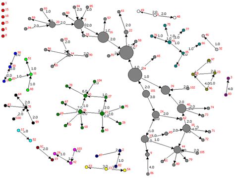Farmers Social Seed Networks Showing Large Networks Small Networks Download Scientific