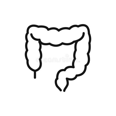 large intestine icon linear vector graphics sign stock vector illustration of simple signs