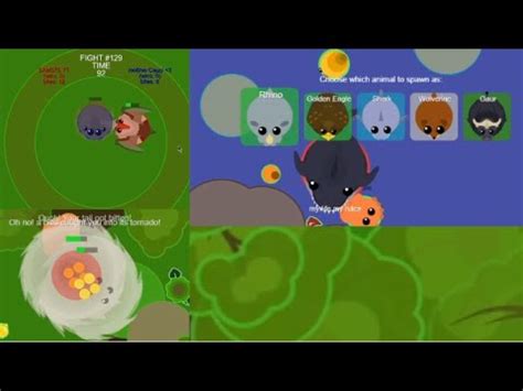 Unveiling The Secrets Of The Jungle Biome A Complete Guide On