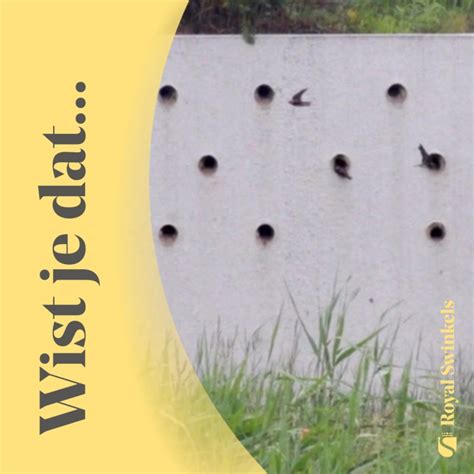 Wist Je Dat Wij In Lieshout Al Jaren Samenwerken Met Ivn Instituut