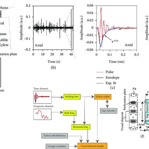 ultrasound measurement set up recorded waveforms and analysis method