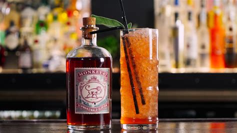 What Is The Difference Between Sloe Gin And Regular Gin At Daniel Awilda Blog