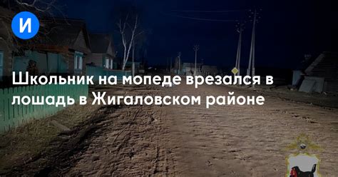 Школьник на мопеде врезался в лошадь в Жигаловском районе — Иркутск Сегодня