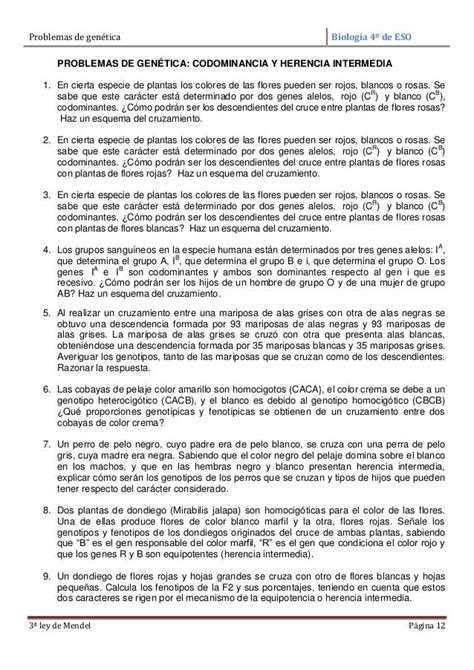 Problemas De Genetica Resueltos 4 Eso Producto Interesante