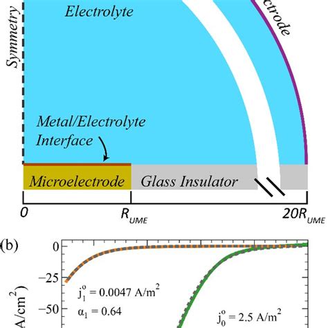 Schematic A Of The 2d Axisymmetric Geometry Used In The S Ndr Model