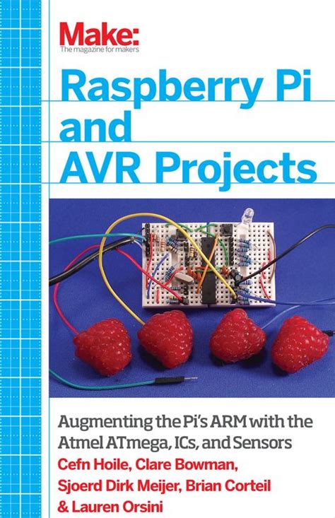 Raspberry Pi And Avr Projects De Troy Mott En Librer As Gandhi