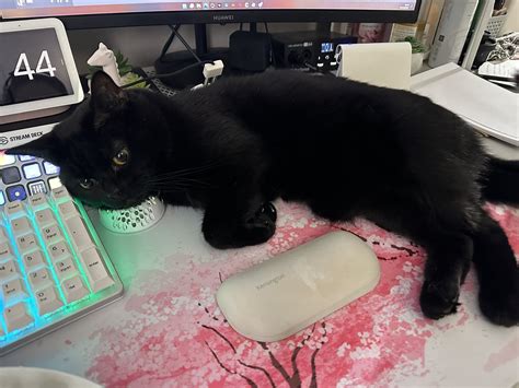 Beaplays On Twitter How Do I Get Anything Done