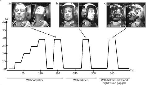 Illustration Of The Different Head Movements Performed During The Download Scientific Diagram