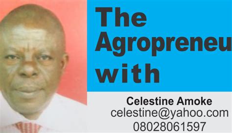 Independent Epaper Independent Newspaper Nigeria