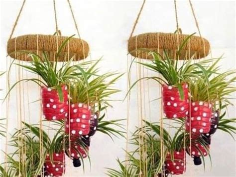 Top 10 Cách Tái Chế Chai Nhựa Trồng Cây Ngay Tại Nhà
