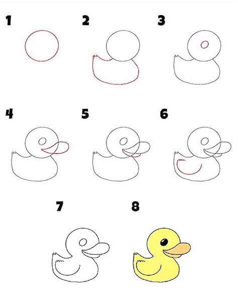 How To Draw Duck Idea 14 Step By Step Drawing Photos