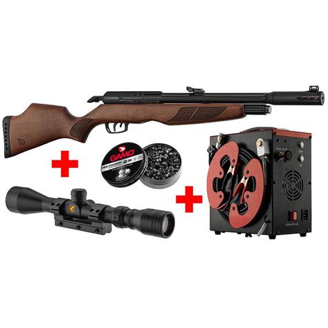 Pack carabine à air comprimé gamo riser punisher lunette