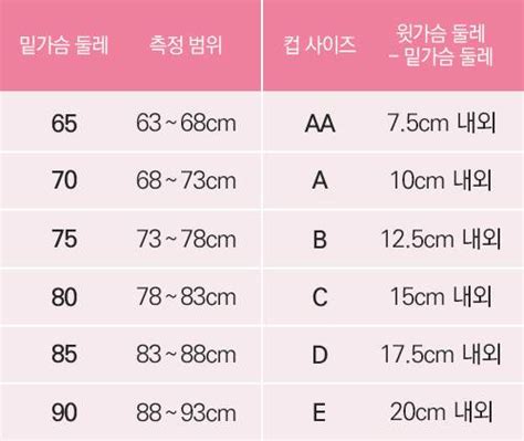 혹시 브라 사이즈 잘 아는사람 인스티즈 Instiz 일상 카테고리