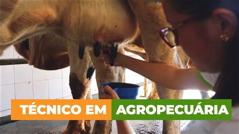 Catálogo De Cursos 02 Técnico Em Agropecuária Youtube